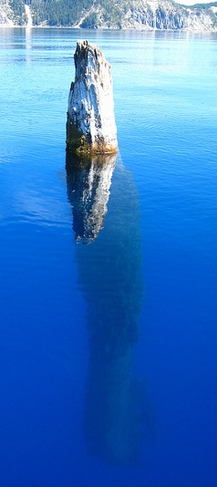 The Old Man of the Lake | A Blast From The Past