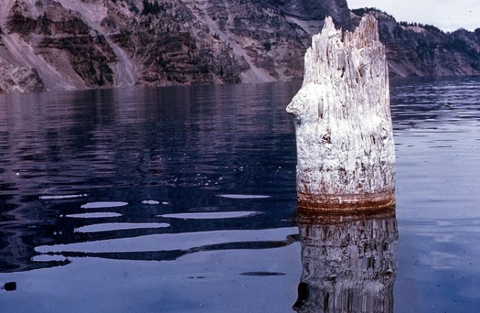 The Old Man of the Lake | A Blast From The Past