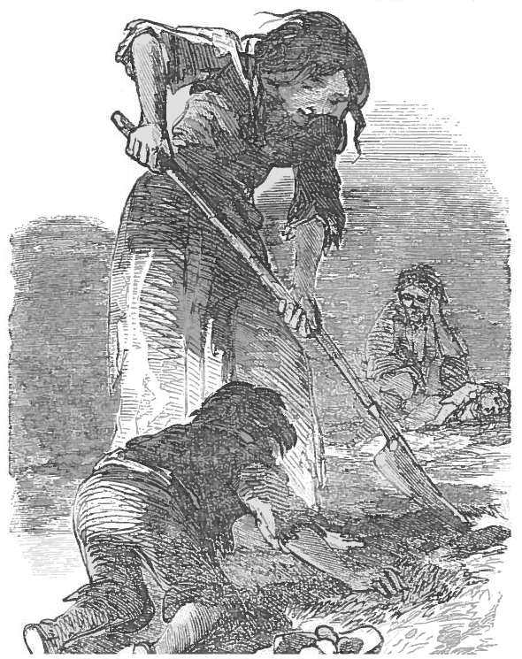 Queen Victoria’s £5: the strange tale of Turkish aid to Ireland during ...