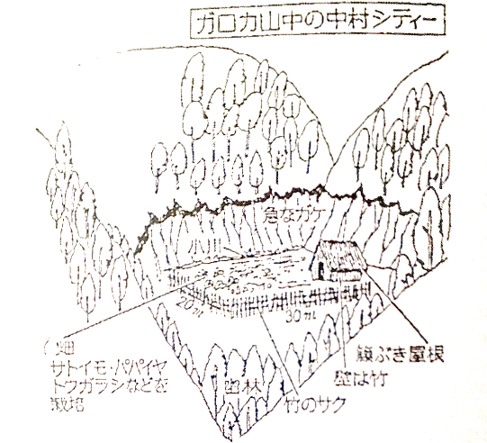 Final straggler: the Japanese soldier who outlasted Hiroo Onoda | A ...
