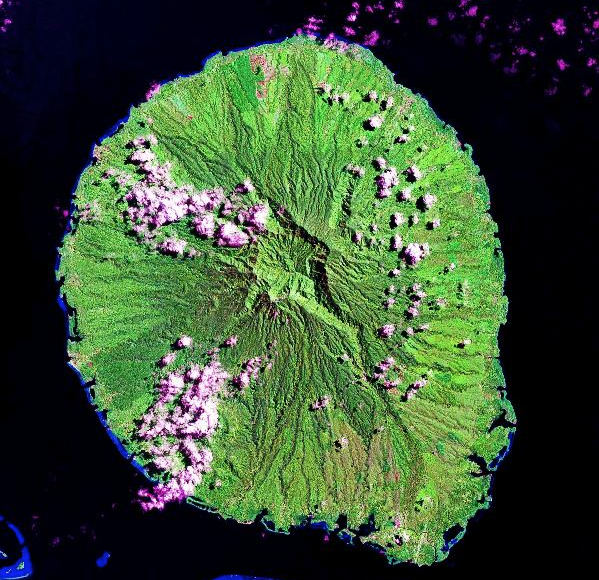 Final straggler: the Japanese soldier who outlasted Hiroo Onoda | A ...